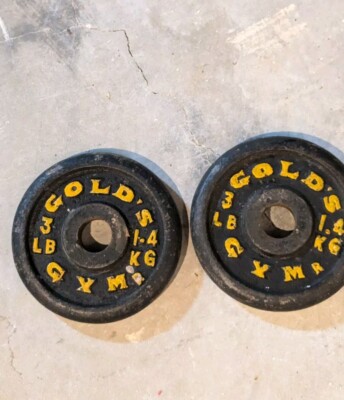 Vintage Gold's Golds Gym 2- 3 Lb Pound Weight 1" Bar Hole | eBay