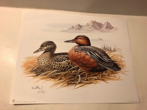 Don Balke Wood Ducks Signed Art Print Wind River Studio Fleetwood 2000 ...