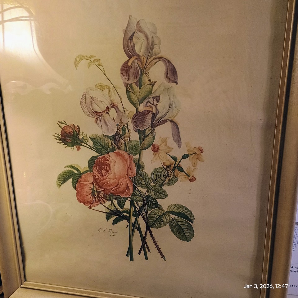 Litho S.Z. Lucas Jean-Louis Prevost's "Bouquet of Rose and Lily of the ...