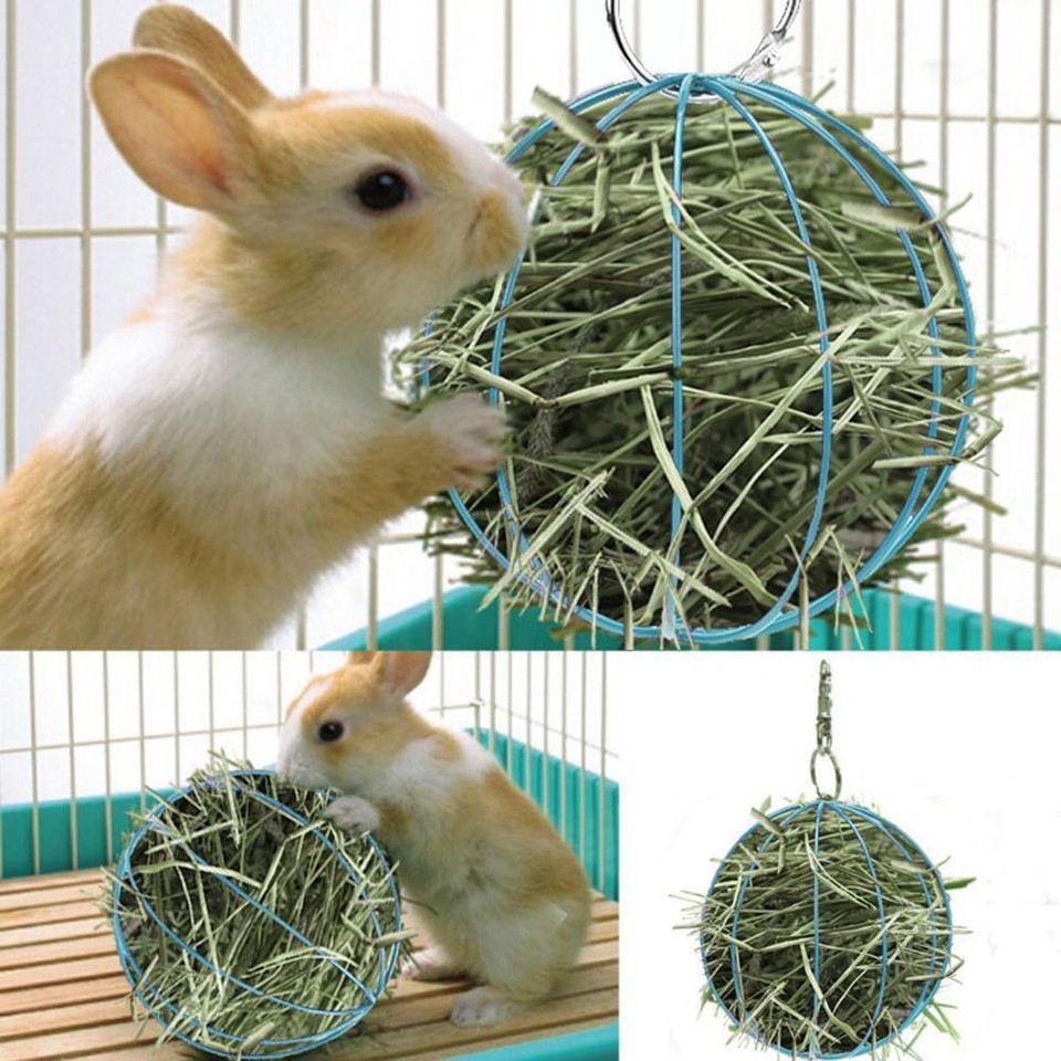 Stainless Steel Plating Pet Hay Manger Food Ball Rabbit Hamster Grass ...