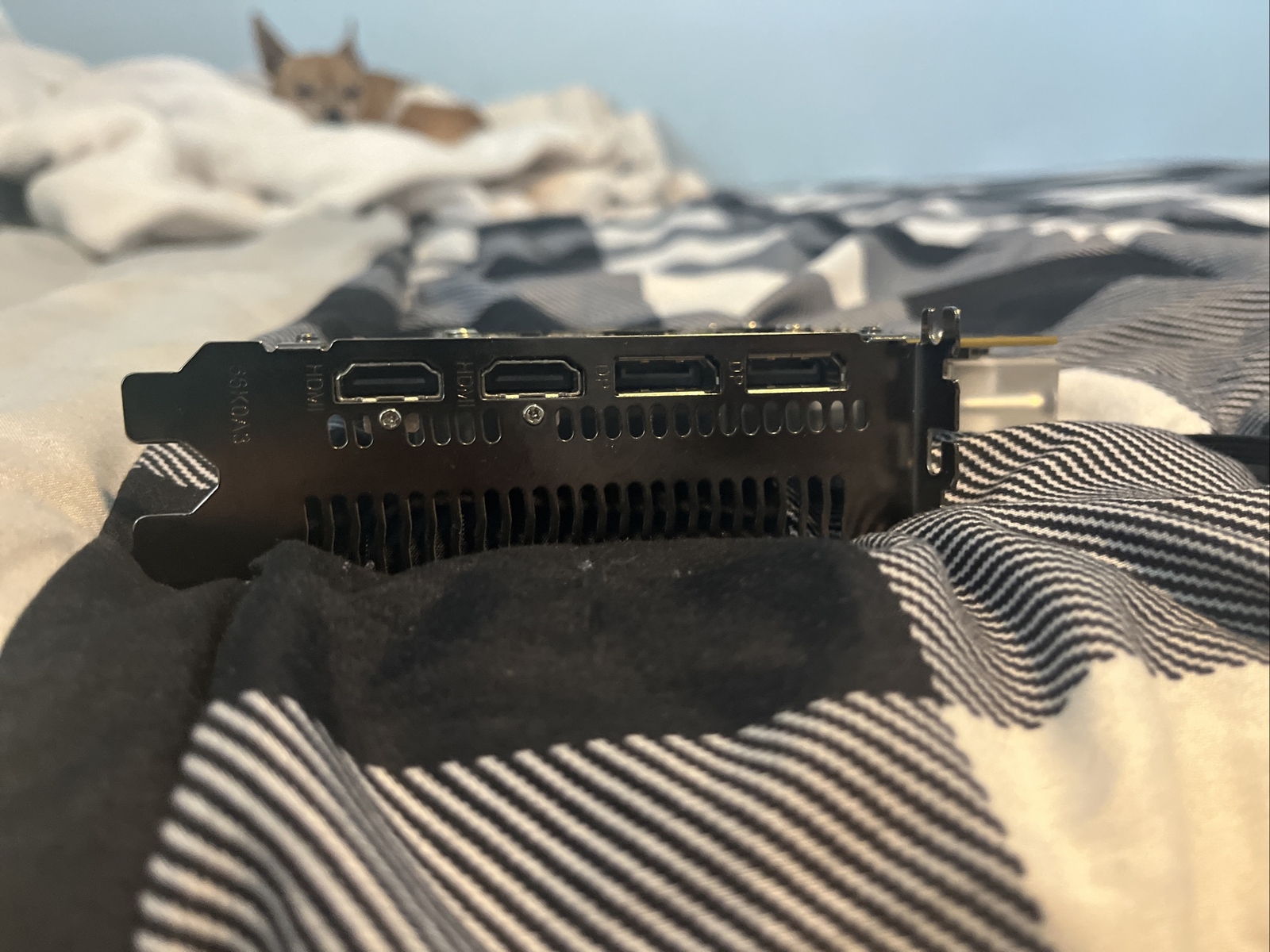 PowerColor AMD Radeon RX Vega 56 8GB GDDR5 Graphics Card (AXRX VEGA 56 ...