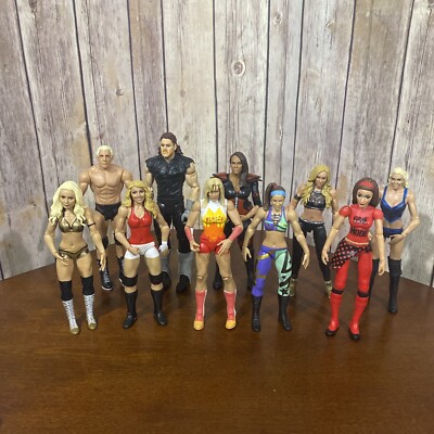 Lot Of 10 Loose WWE Action Figures (Divas, Ric Flair, Undertaker) | eBay