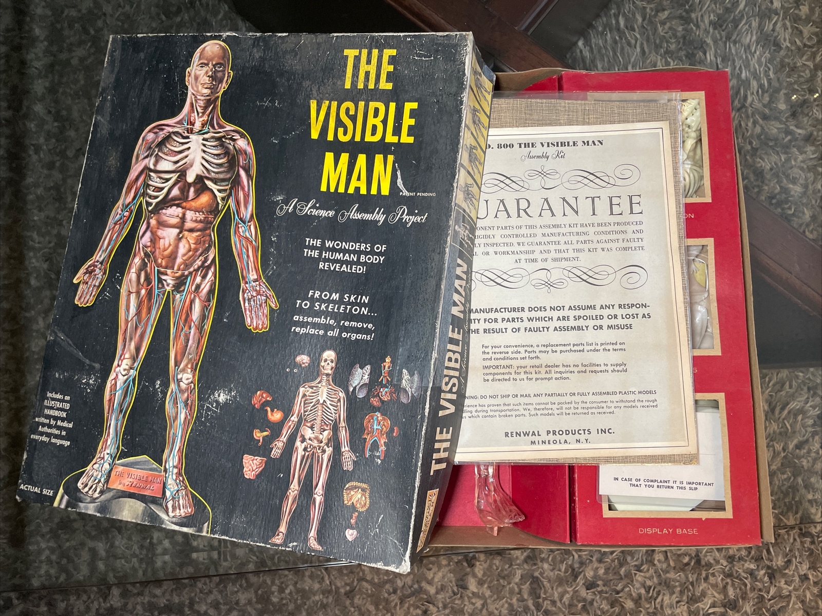 Vintage 1959 Renwal The Visible Man Model Kit Complete 800 598 for sale ...