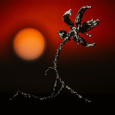 Nze Nze - Adzi Akal [New CD] 3700398726793| eBay