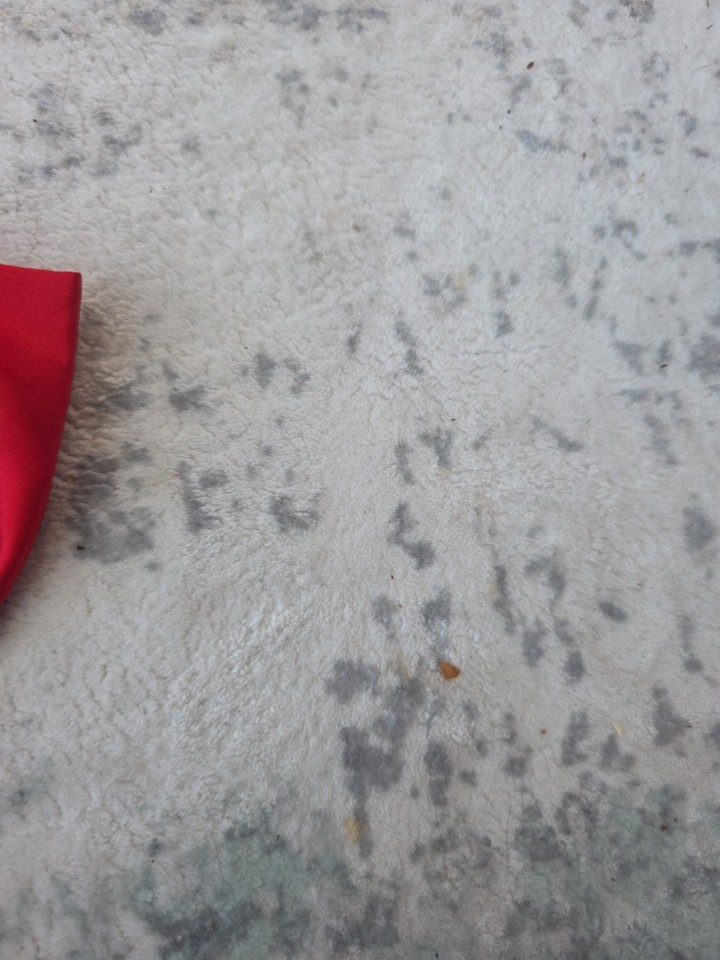 Victoria's Secret V-String Thong Panties With Big Red Rhinestone Bow On ...