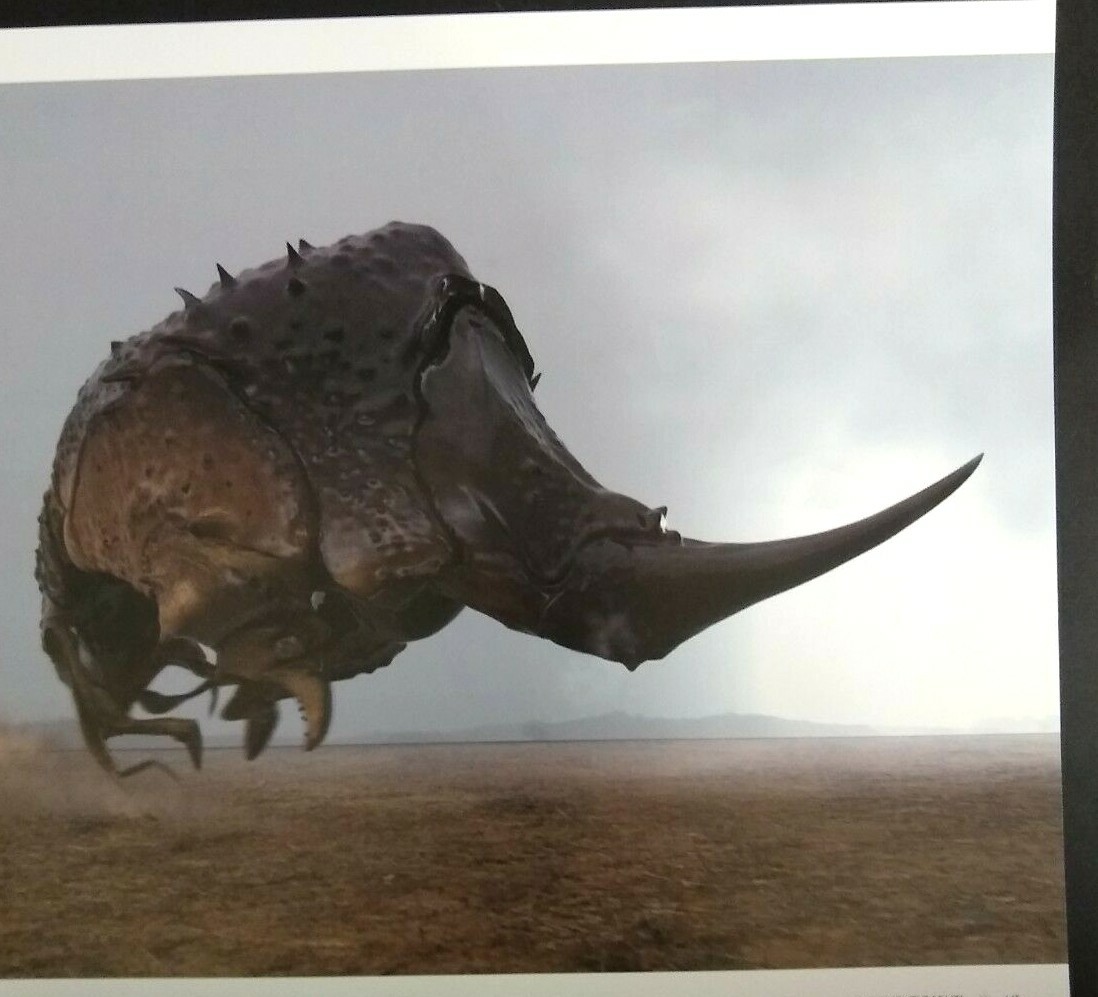 Erumpent Harry Potter