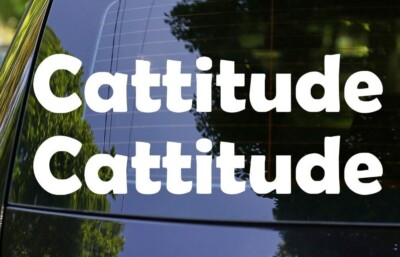 2x Cattitude Cat Vinyl Decal Sticker for Car Window Truck Laptop | eBay