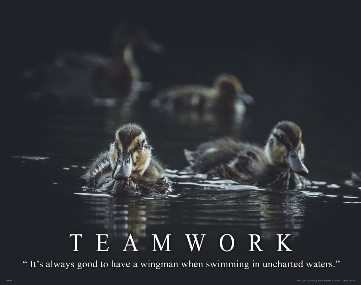 Teamwork Motivational Poster Posters With Teamwork Motivational Quotes