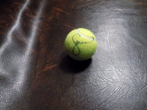 SERENA WILLIAMS & VENUS WILLIAMS AUTOGRAPHED NEW PENN TENNIS BALL W/COA ...