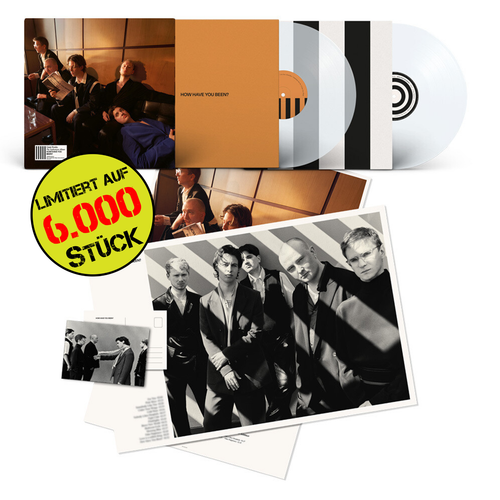 Giant Rooks | How Have You Been? | Ltd. Numbered Signed Clear Deluxe ...