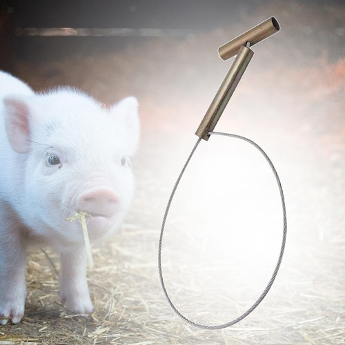Pig Holder Cable Catching Long Pole Hog Catcher for Livestock Dog Farms ...