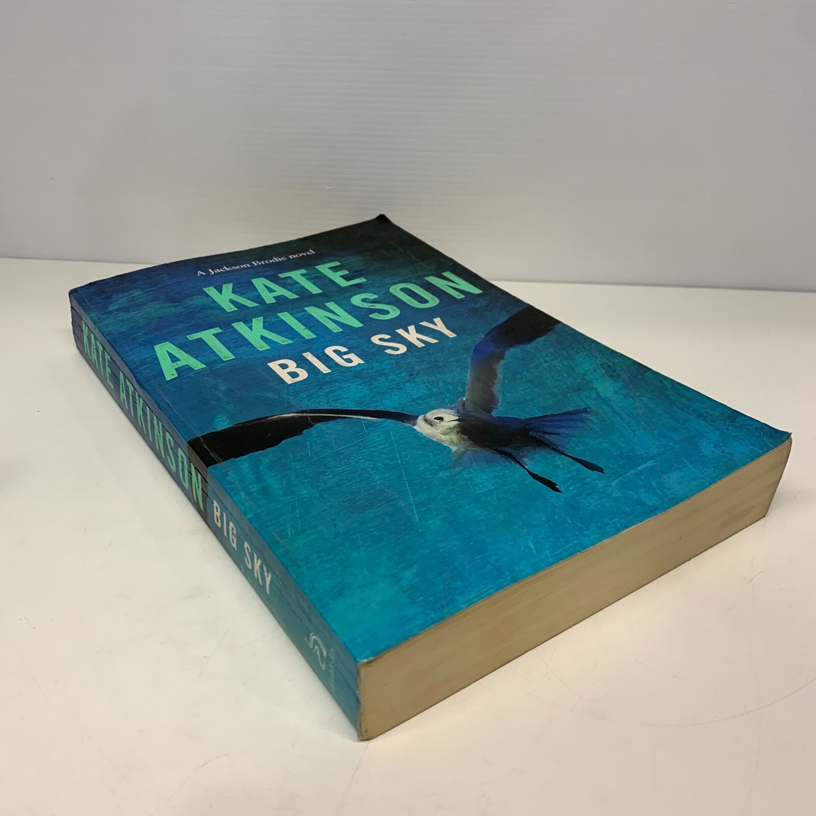 Big Sky by Kate Atkinson Jackson Brodie (Paperback Book) Mystery ...