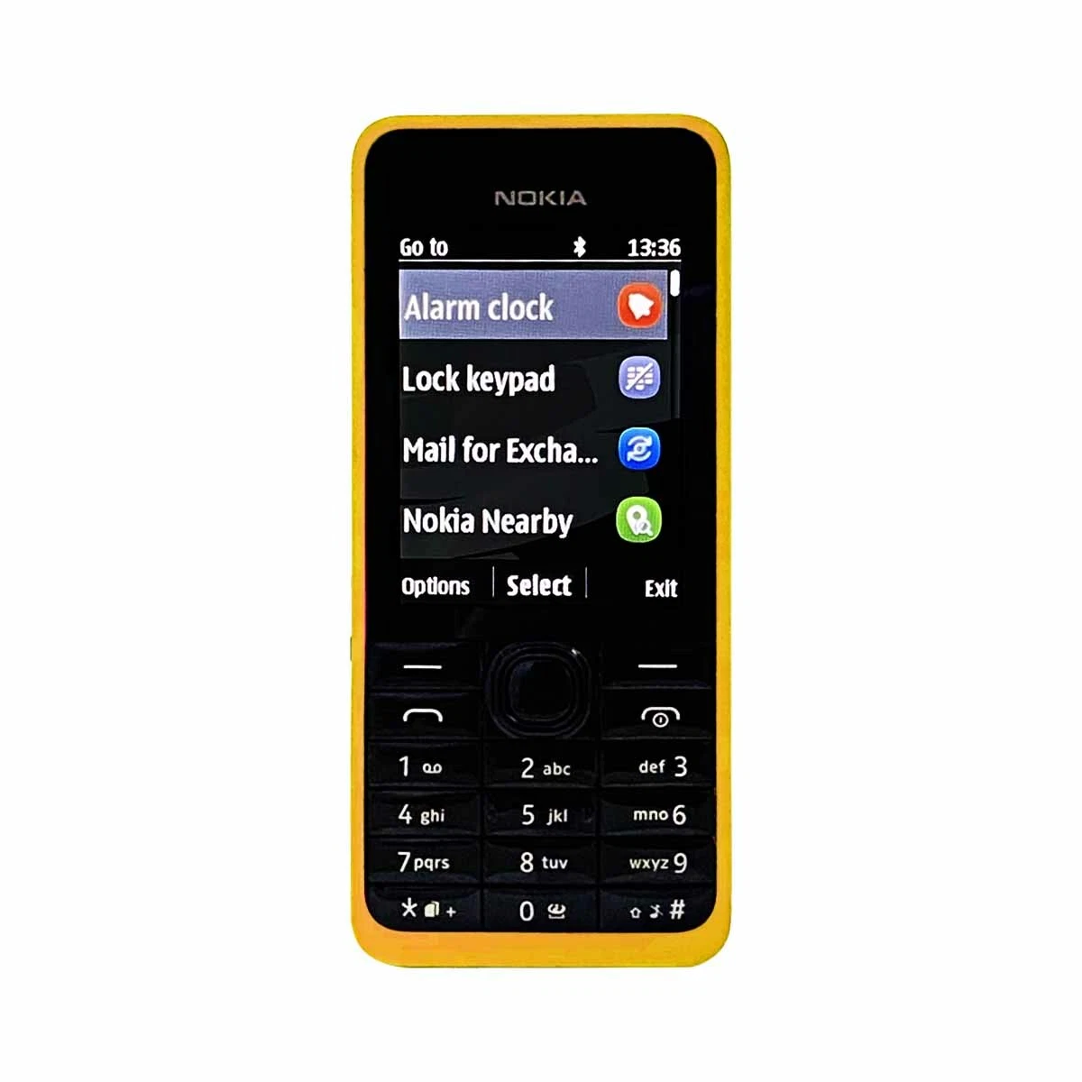 Nokia 301 Price