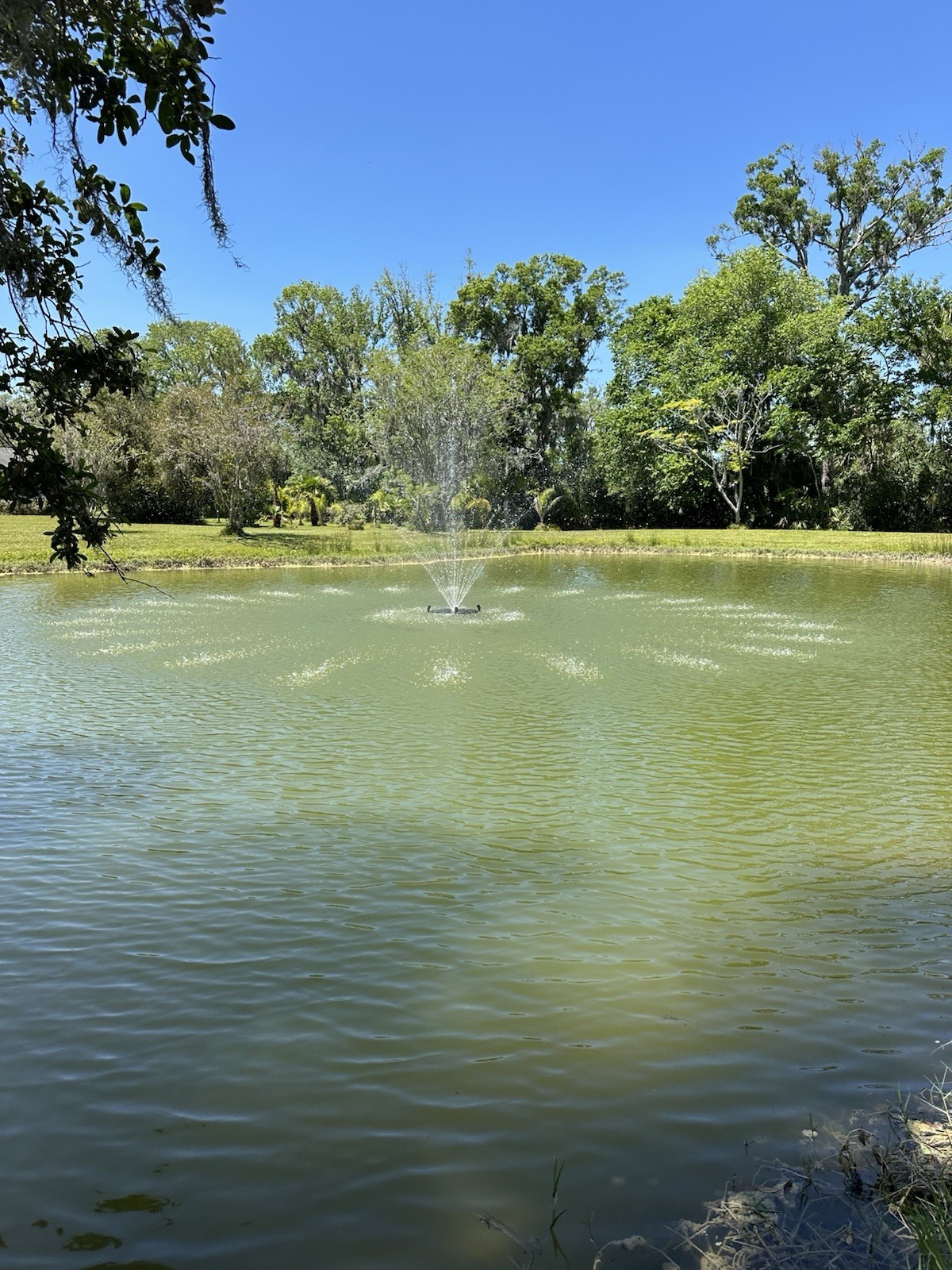 Hqua FS01 Floating Pond Fountain W/ Color Changing Light Kit 1/2HP 13 ...