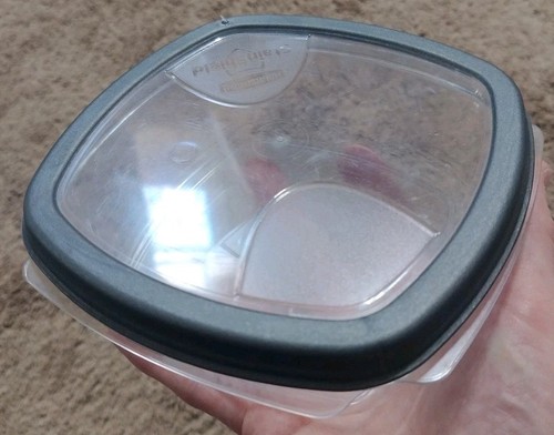 Rubbermaid Stain Shield 1.6Pt square Storage Container grey lid 3.2 ...