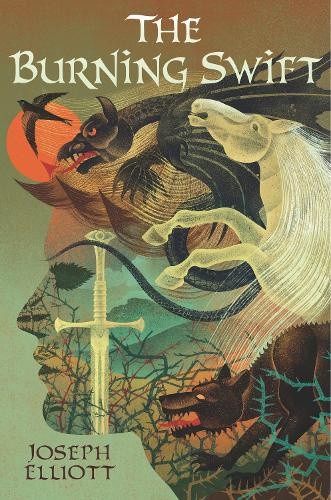 The Burning Swift (Shadow Skye, Book Three) (Shadow Skye Trilogy ...