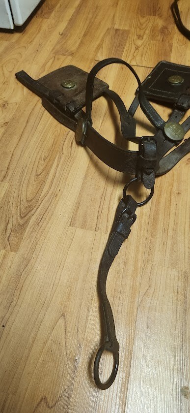 U.S. Cavalry Civil War Horse/Mule Blinders Bridle Harness Bit Rein | eBay