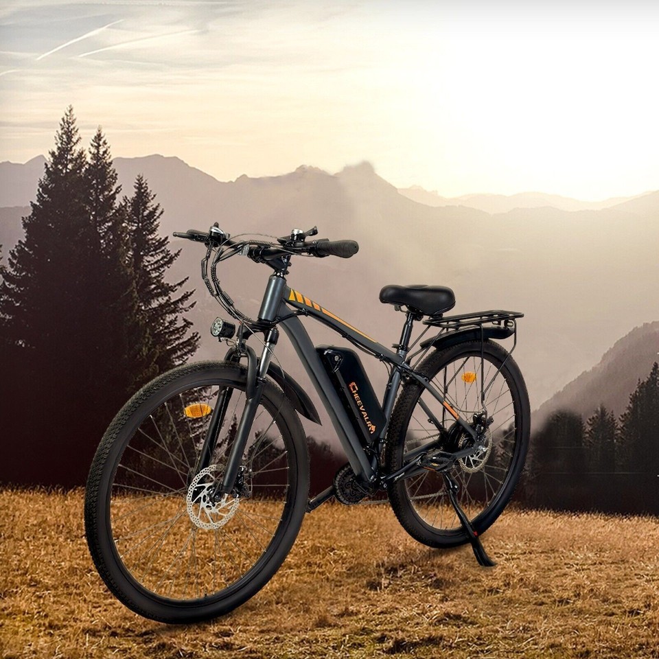 Ebay E Bike