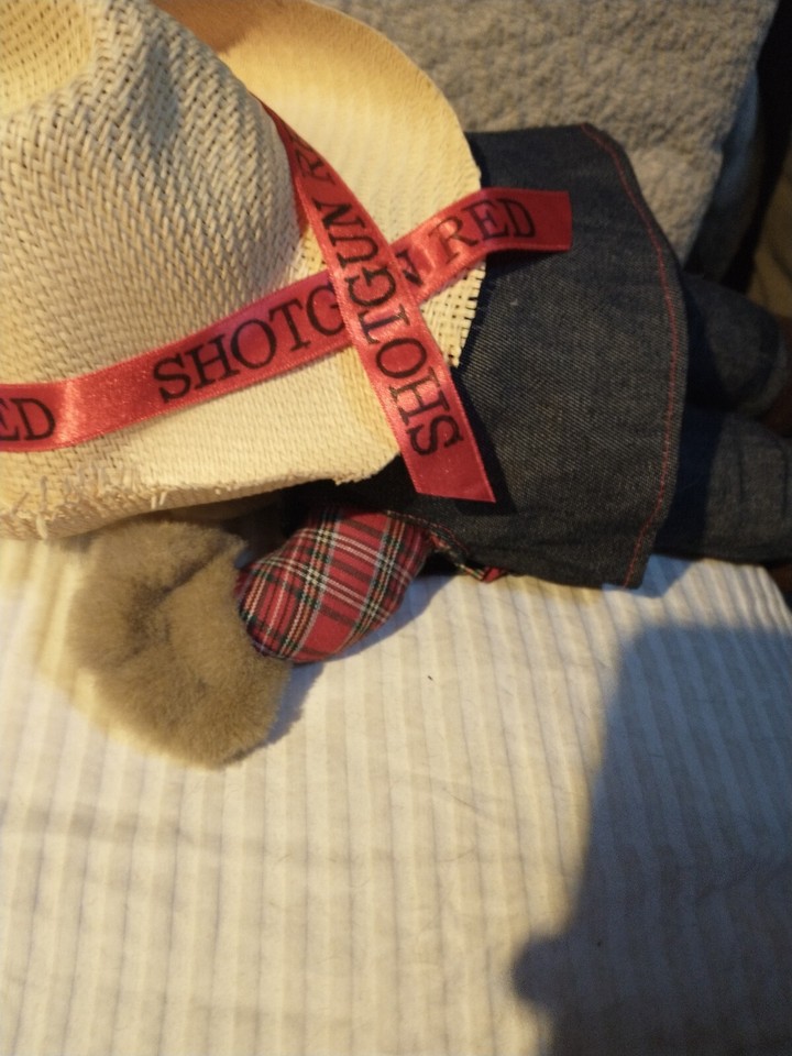 Vintage Shotgun Red Plush Doll 16" | eBay