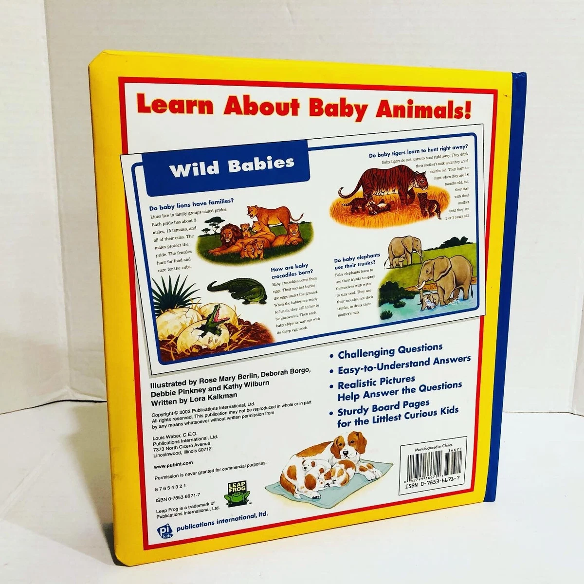 Questions And Answers Animation