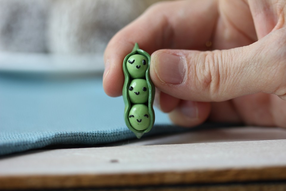 Birthday Funny Gift Party Favors Personalized Family Gift Three Peas in ...