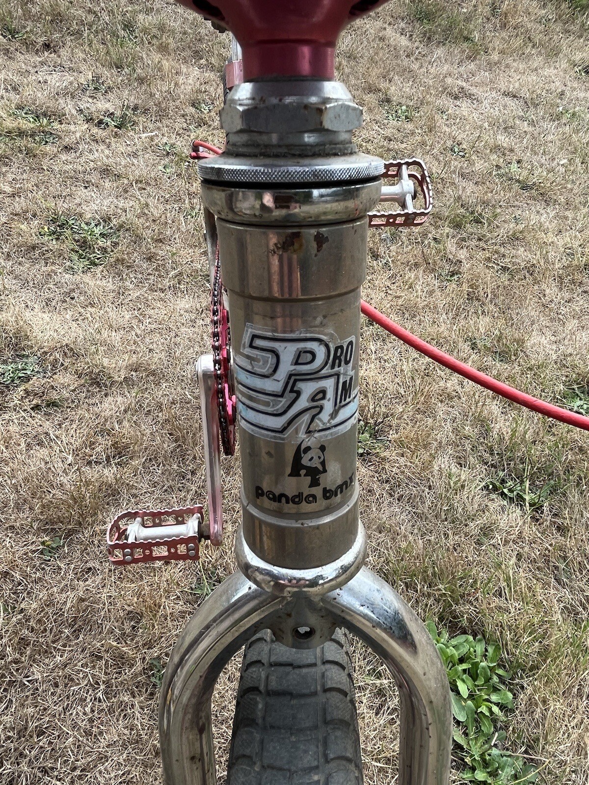 Vintage Bmx Bike Panda Pro Am Jr. 1981 | eBay