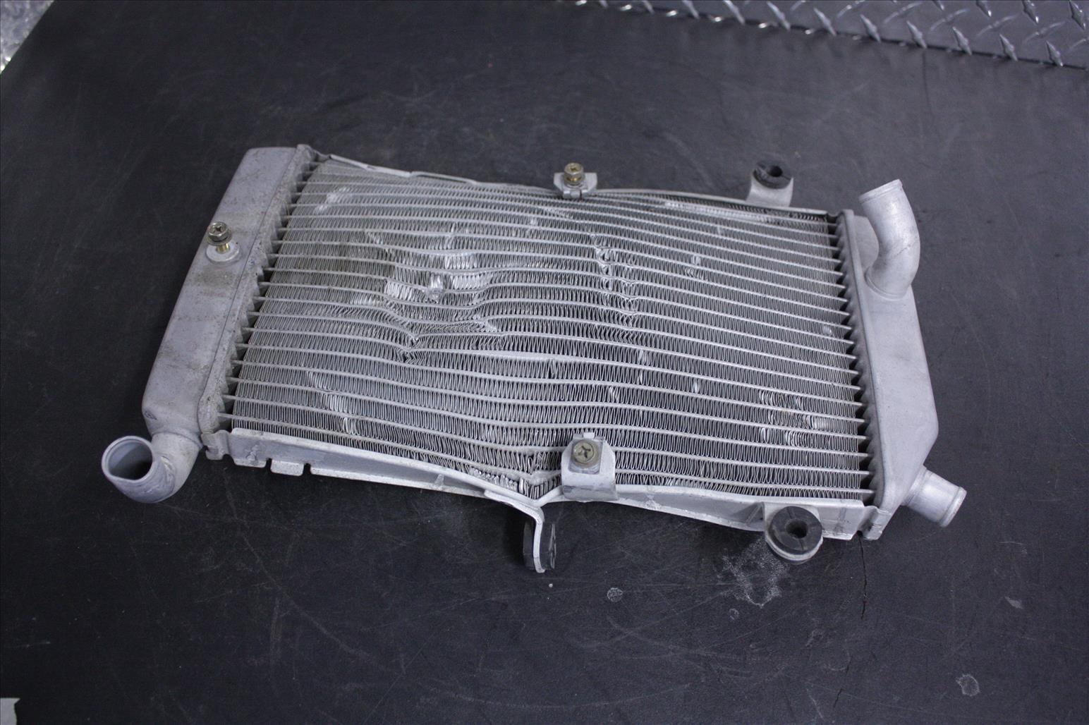 04 HONDA FSC 600 D SILVERWING RADIATOR COOLING FSC600 | eBay