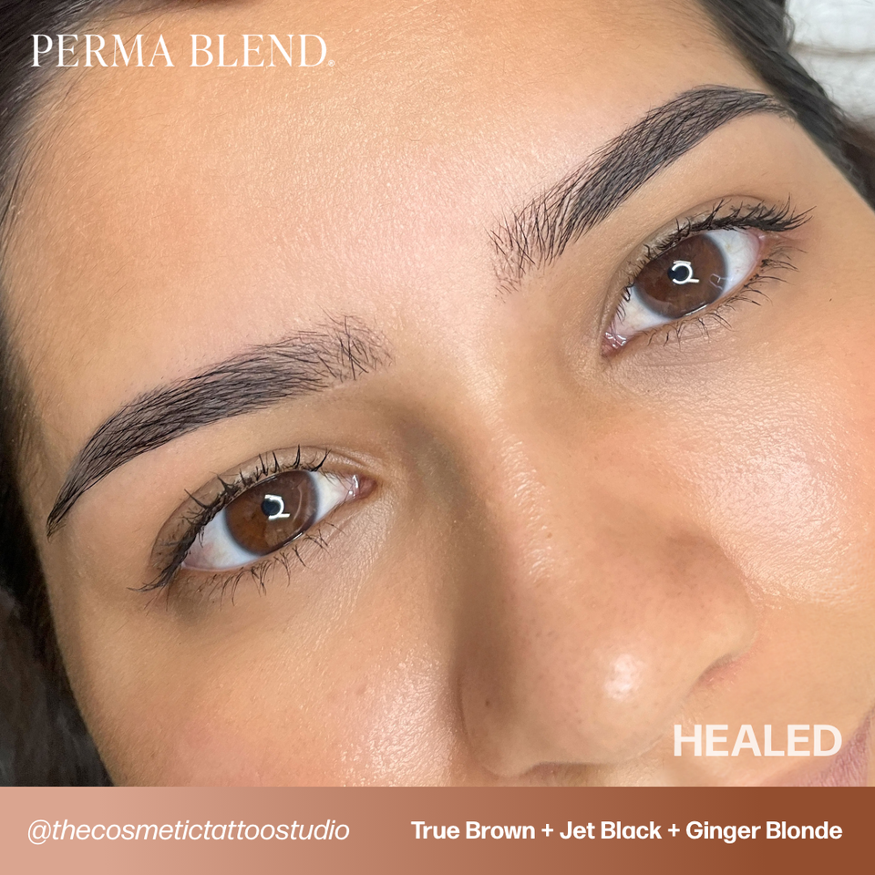 PERMA BLEND PMU Permanent Makeup Eyebrow Lip Microblading Permablend ...