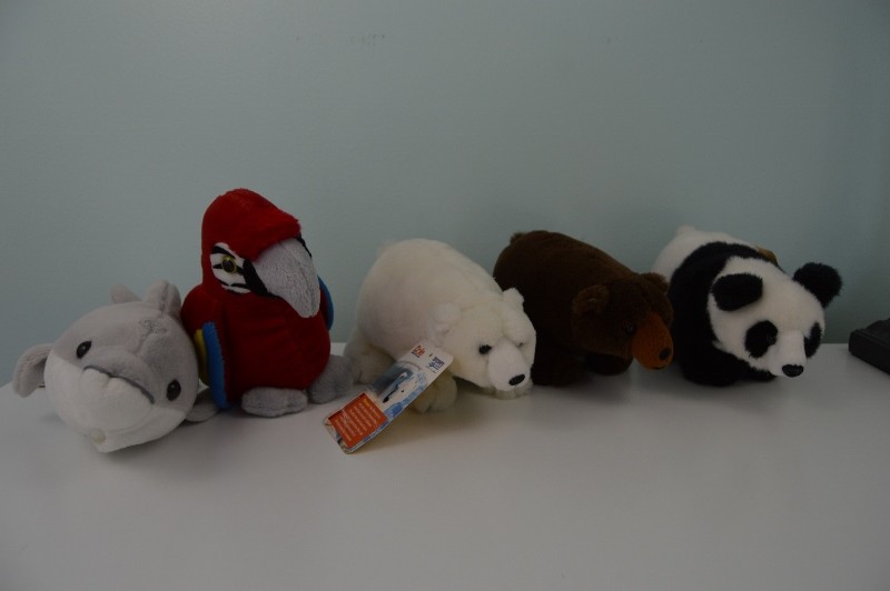 Discovery Channel Plush Stuffed Animals Dolphin Panda Polar Bear Parrot ...
