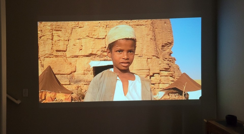 Optoma Movietime DV10 DMD Projector Built In DvD And Case Bundle READ ...