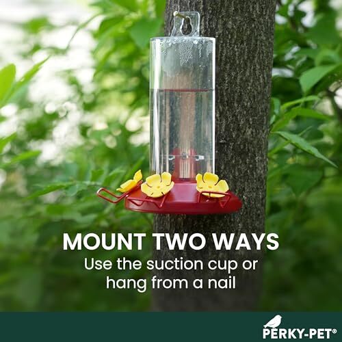 Perky-Pet 217 Window Mount Plastic Hummingbird Feeder with Perches - 8 ...