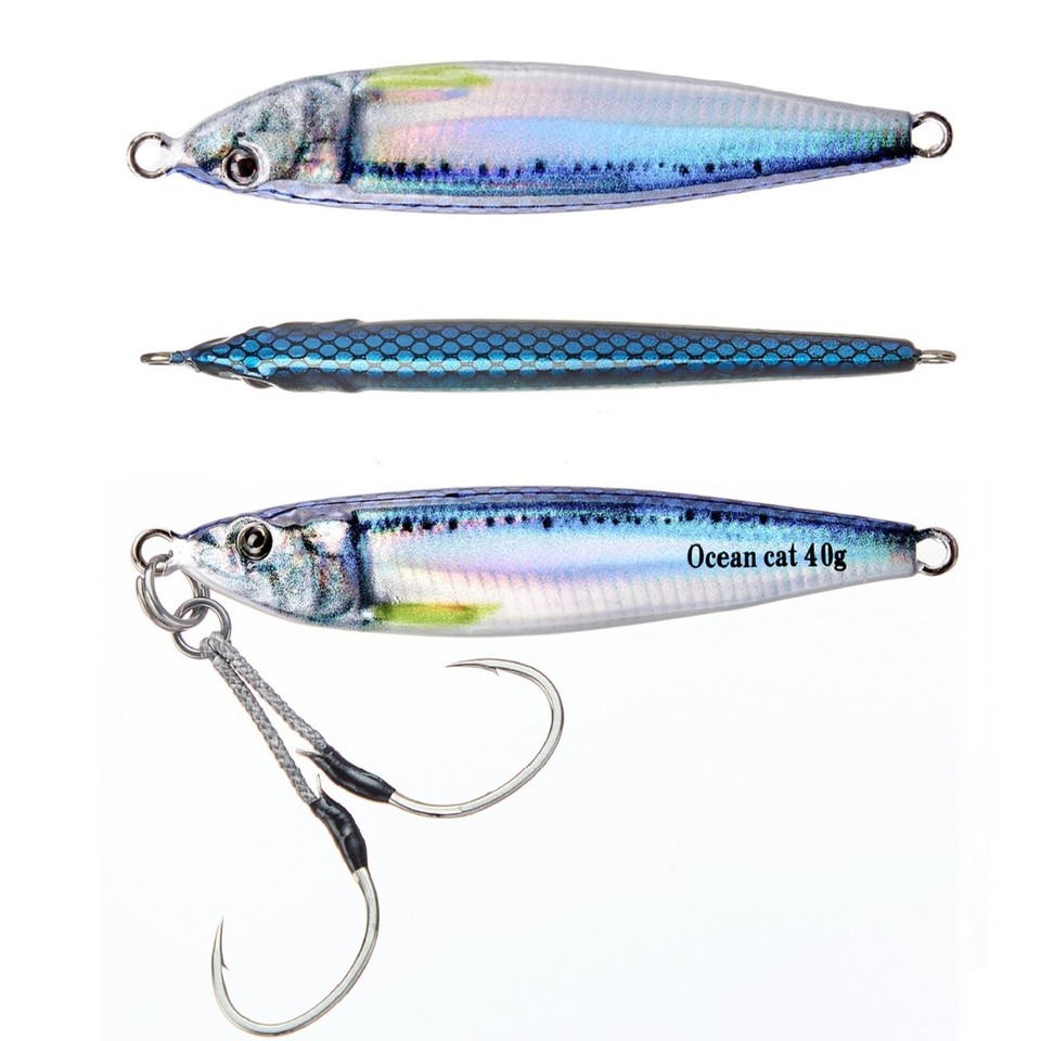 Slow Pitch Jig Saltwater Fishing Lure Flat Fall Jig Jigging Bait with 2 ...