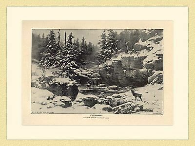 Tief verschneit Wald Hirsch Fels Gemälde von Horst Hacker Winter Druck III 208 | eBay.de