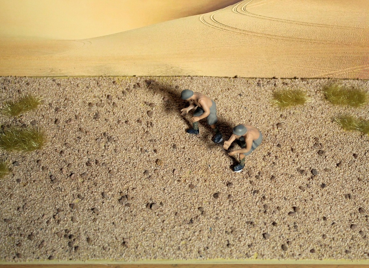 Sahara Desert Diorama