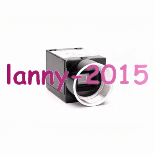 1PC used teli BG130 black-and-white CCD industrial camera ICX445 #LM | eBay