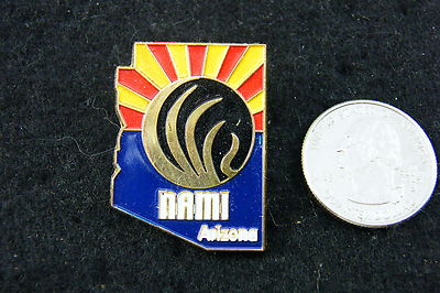 NAMI ARIZONA TRAVEL PIN | eBay