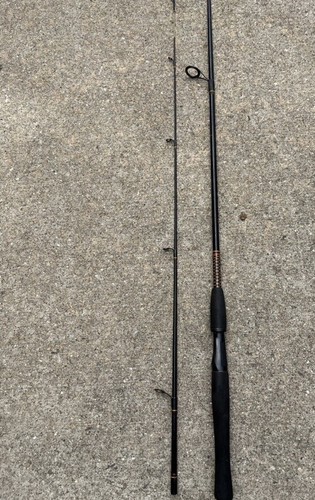 Shakespeare Ugly Stik SP1100 6'0" Rod Action Heavy (8-20 Lb. Line) One ...
