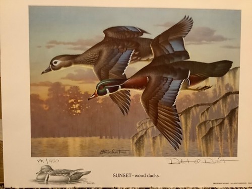 20 SAMPLE DUCK STAMP PRINTS & 6 DUCK PRINTS | eBay