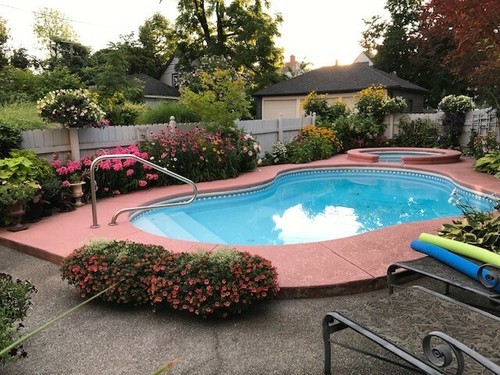 Maxsea 722270 Bloom 6lb Flower Plant Powder Food Seaweed Fertilizer for ...