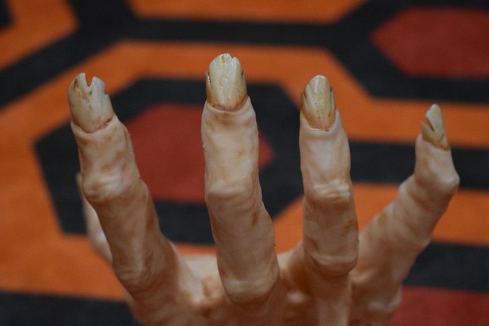 Evil Dead 2 Ash's Hand Resin Horror Movie - jason voorhees michael ...