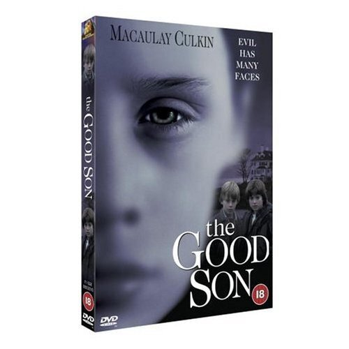 Good Son, The - (horror Promotion) (DVD) | eBay