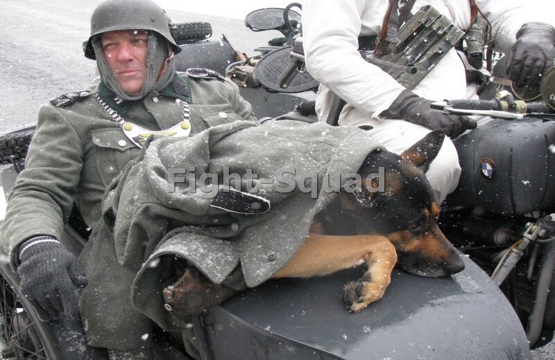 WW2 Picture Photo German Soldier Feldjager and dogs rest on BMW R75 ...