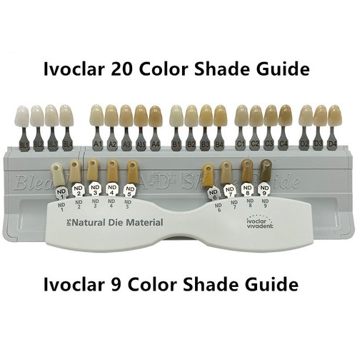 Ivoclar Vivadent Dental Bleach Teeth Shade Guide IPS Natural Die ...