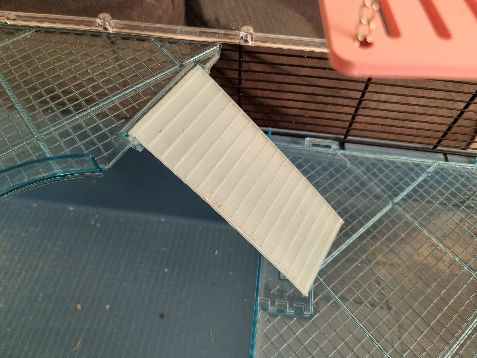 Ferplast Duna Fun Large small animal cage With Set Up | eBay UK