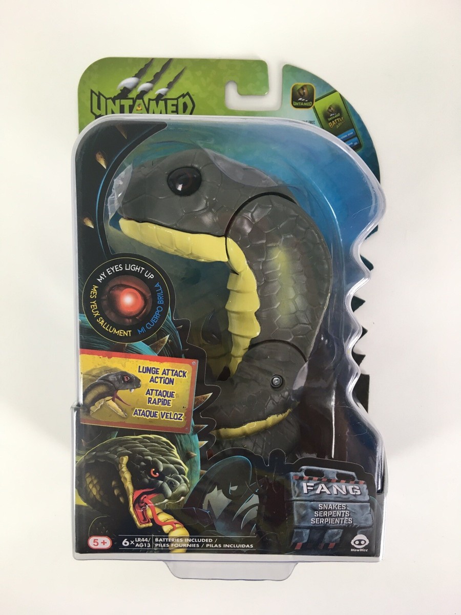 Reflection Reptilia Ambush