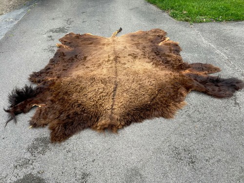 Western HUGE Tanned BISON/BUFFALO /Skin/Hide Log Cabin Hunting Lodge ...
