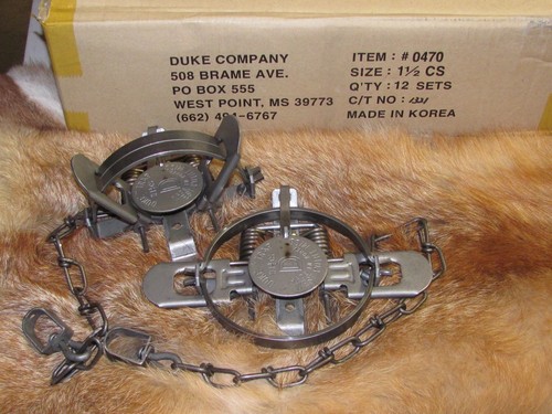 2 New Duke # 1 1/2 Coil Spring Traps Raccoon Fox Mink Nutria Trapping ...