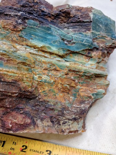 🔥5.5 Pound Larsonite Chunk McDermitt NV Bog Petrified Wood Green ...