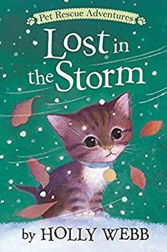 Lost in the Storm Paperback Holly Webb 9781680104103| eBay