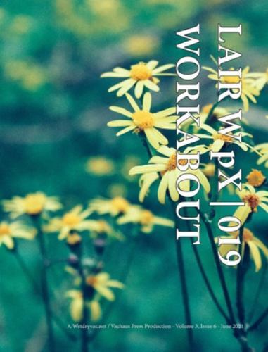 LAIR W pX 019 Workabout by Wetdryvac 9781034942139| eBay